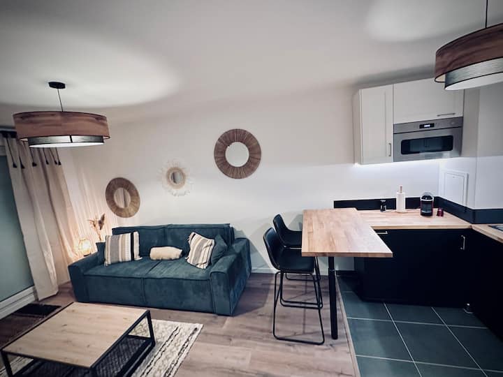 Appartement Cosy - Meaux