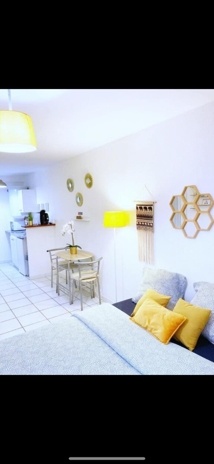 Studio à 5 Mn  à Pied De  La Gare Saint-roch - Montpellier