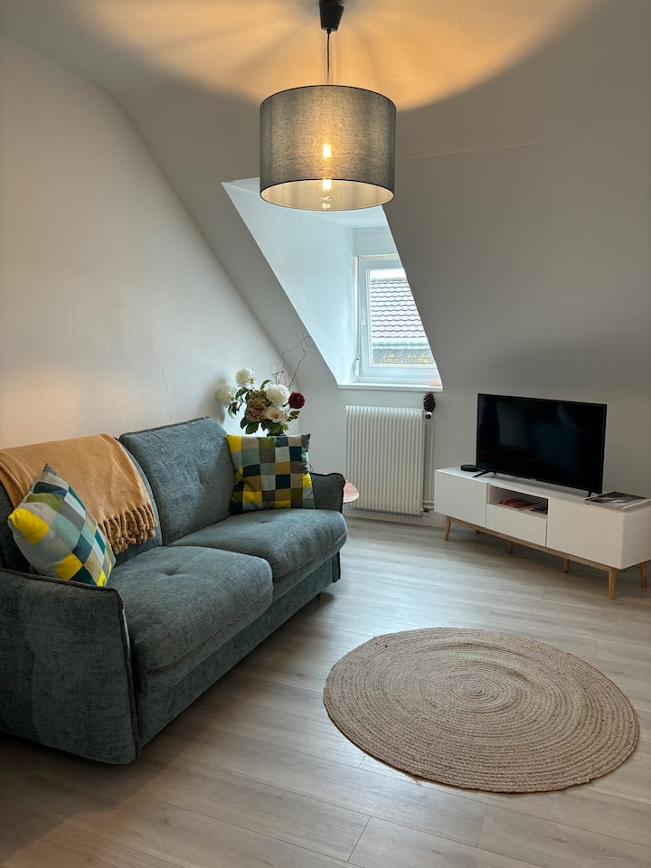 Logement Cosy F3 Centre-ville - Alsace