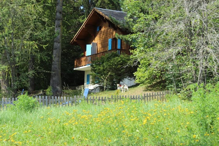 Chalet Avec Vue Imprenable Sur Les Alpes Crans - Sierre