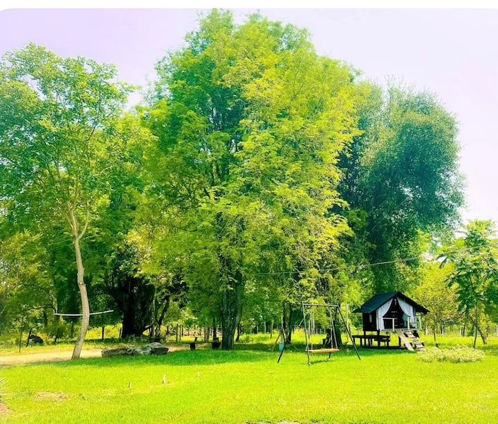 Entre Bonito Jardim-experiência Farmhouse Total. - Jardim