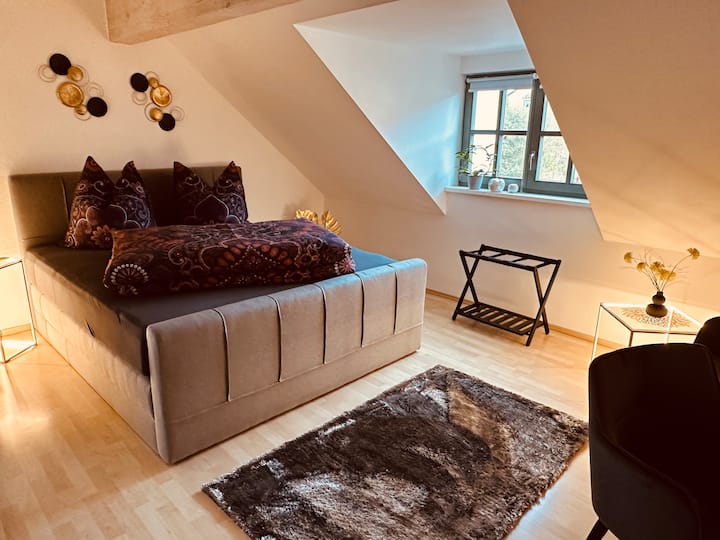 Schönes Apartment(3) In Der Historischen Altstadt - Freiberg