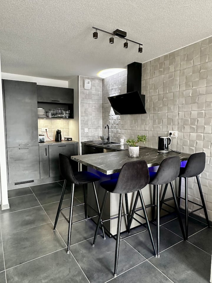 Appartement Proche De Strasbourg Et Du Parlement - Hœnheim