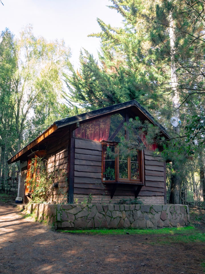 Cabaña 5 Piltri-hue – Naturaleza Y Descanso - El Bolsón