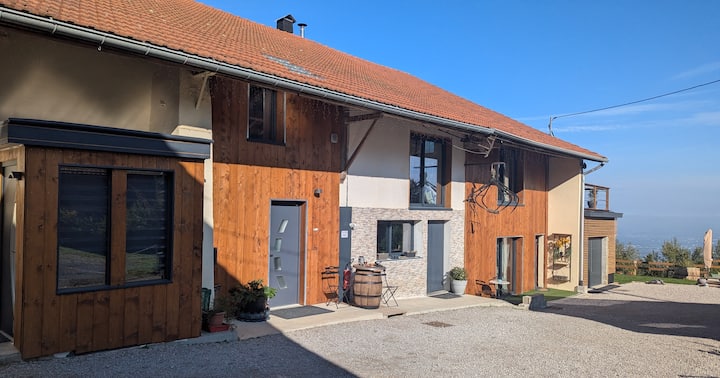 Domaine De La Griffe: Chambre "Le Terrier" - La Roche-sur-Foron