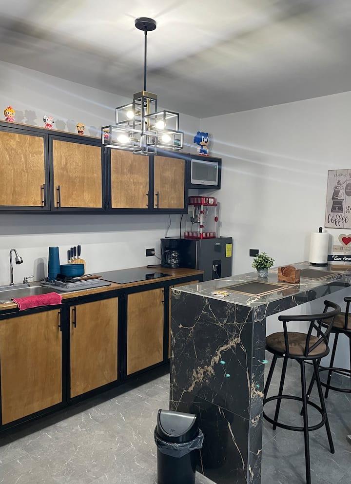 Loft Ejecutivo Cerca Aeropuerto Y Zona Industrial. - Monterrey Airport (MTY)