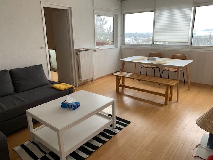 Beautiful Furnished T3apartment - Saint-Genis-Pouilly
