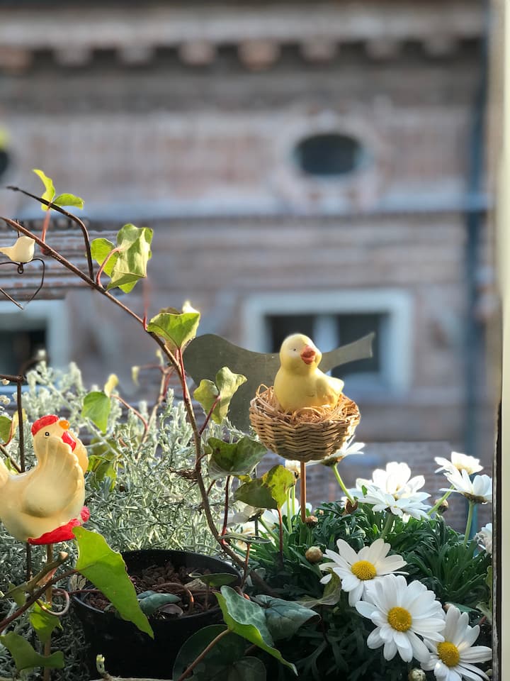 Ai Tetti Carignano- - Turin