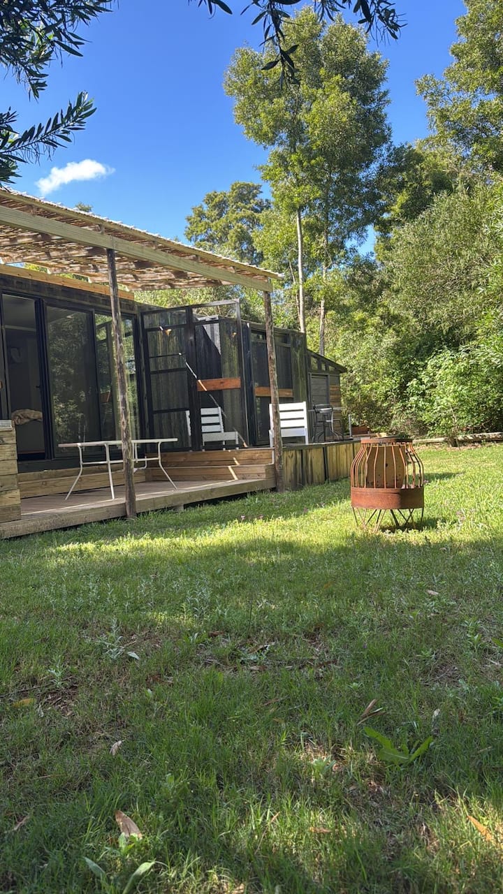 Entre El Bosque Y El Mar - Sauce de Portezuelo