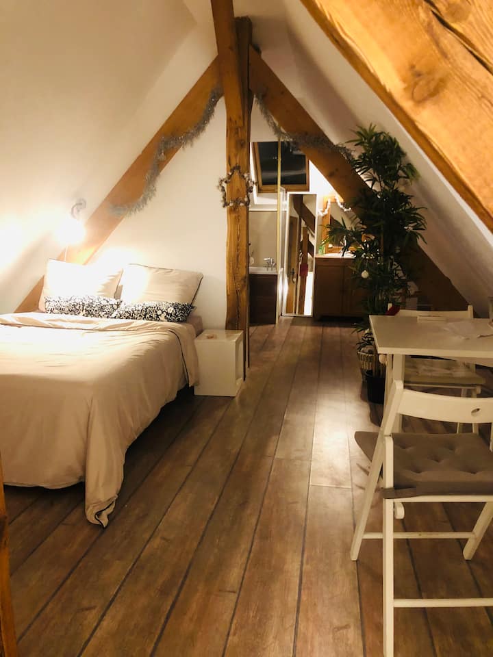 Chambre D'hôtes - Strasbourg