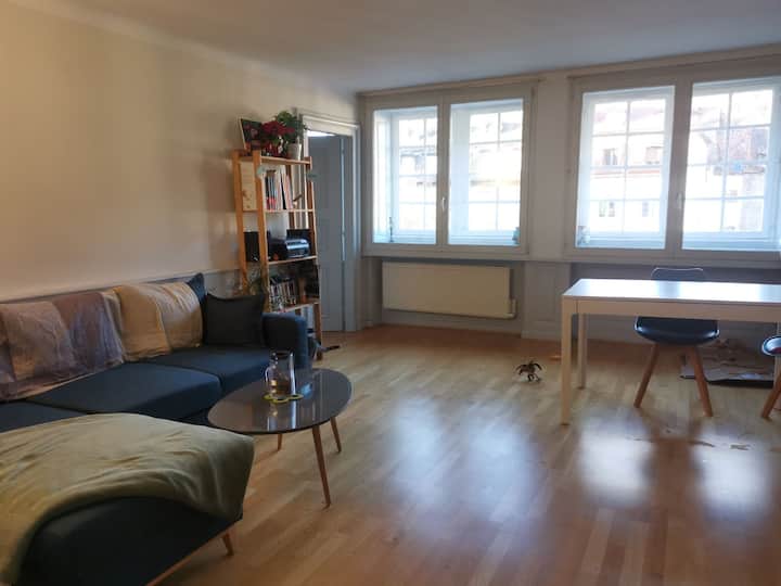 Chambre Chez Marie - 聖特拉斯堡