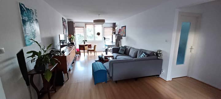 Bel Appartement Proche Du Marché Noël - Estrasburgo