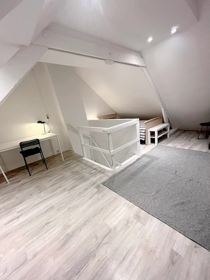 Lovely Attic Room In Enschede Close To Ut - 엔스헤데