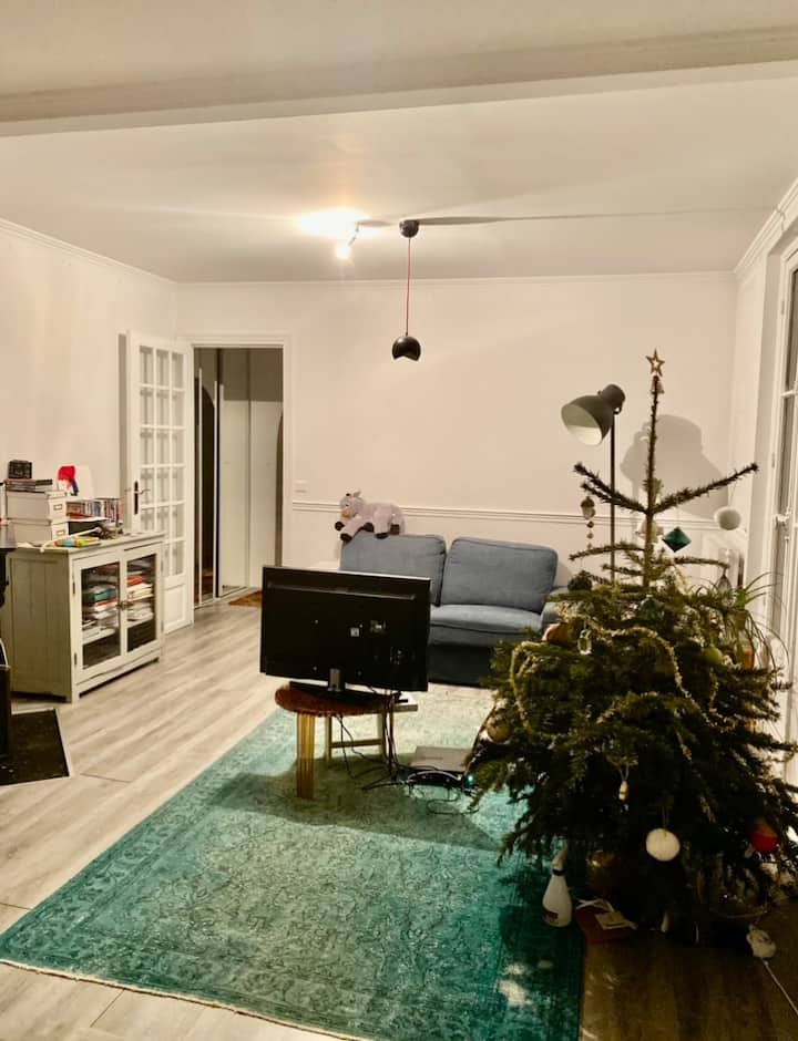 Amazing Duplex Near Olympiques - Paris