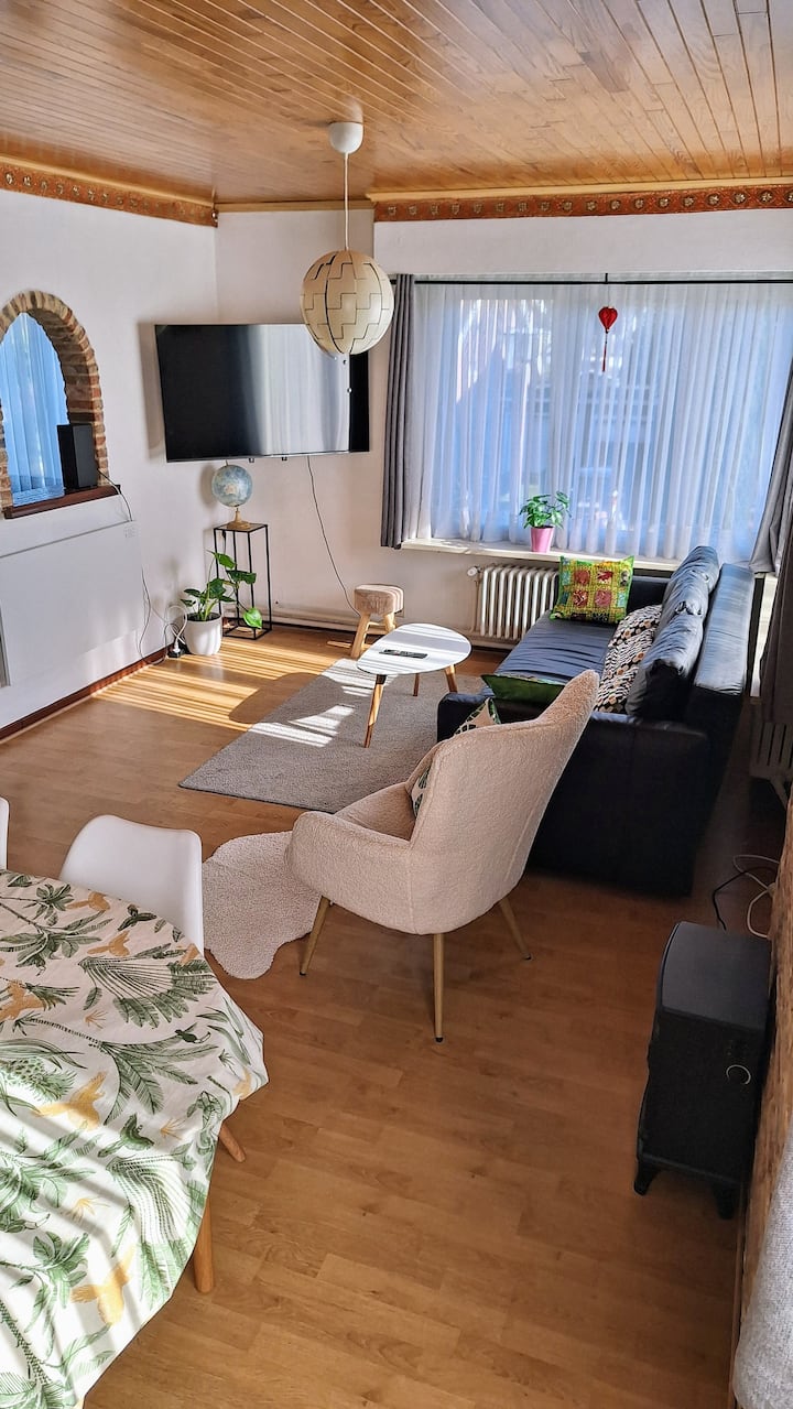 Gezellig Appartement + Fietsen - Boom