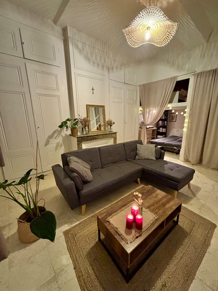 Appartement Lyon - リヨン