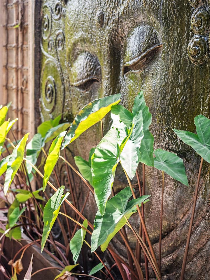 Lux 2 Bedroom 2 Bathroom House. Built In 2024 - 마가렛 리버