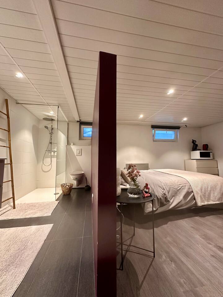 Chambre Coquette Au Sous-sol Maison - Vendenheim