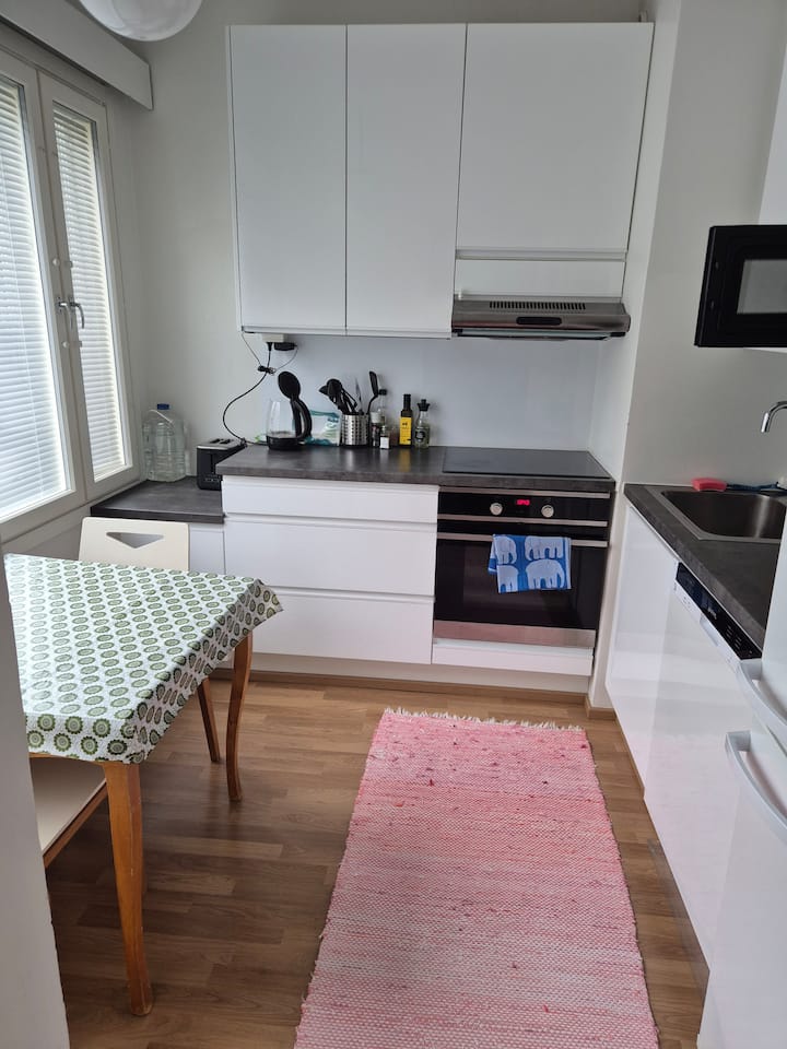 Spacious, Renovated Studio With Parking Place - Helsinki