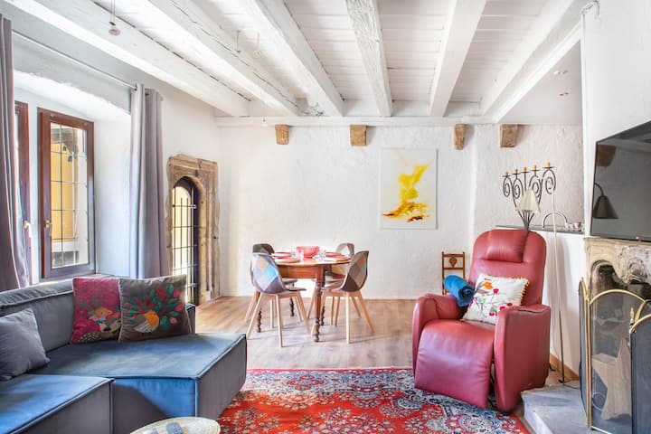 "Le Saint-louis" En Hypercentre - Colmar