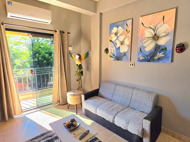 2 Bedroom Apartment With Air Conditionner - Paraguay