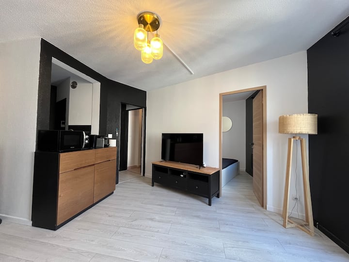 Superbe Appartement 4 Pers Centre - Musee Auto - Illzach