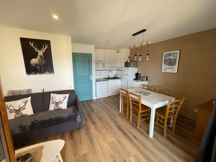 Apt 4/6 Pers Vue Lac De Matemale - Les Angles