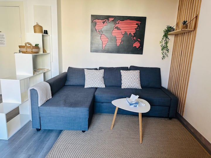 T2 Proche Gare (Ceva)  Parking Gratuit - Annemasse