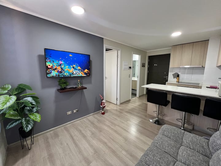 Agradable Departamento 1d 1b - Valparaíso