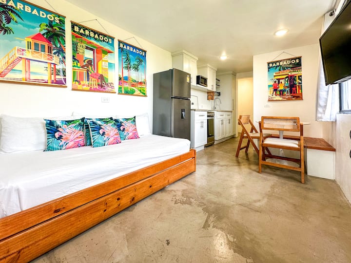 Oceanview Apt 4a W/pool Near Beach+night Life - Barbados