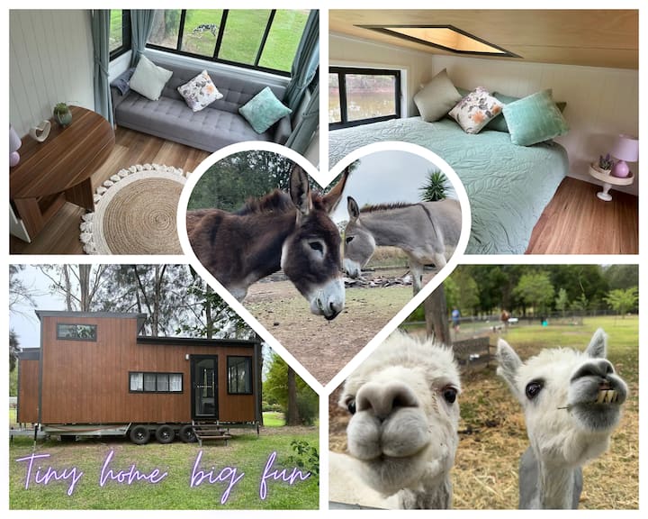 Tiny Home + Donkeys + Alpacas - Gold Coast