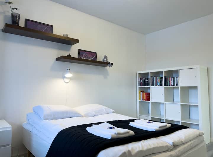 Cozy 1br City Centre Home + Free Parking - Kuopio