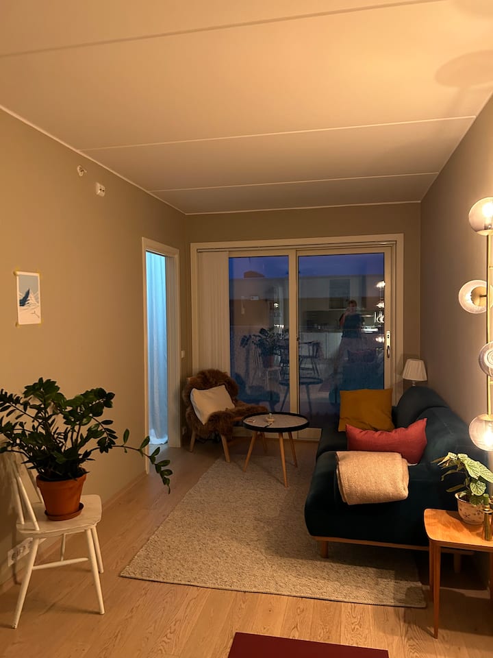 Look No Further For Your Next Vacation In Tromsø - Tromsø