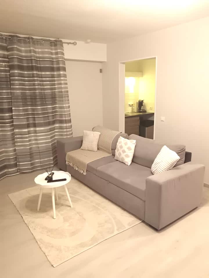 Appartement Cosy à Strasbourg - Strassburg