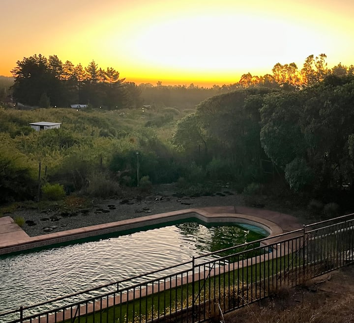 Arriendo Casa Parcela Algarrobo - Algarrobo