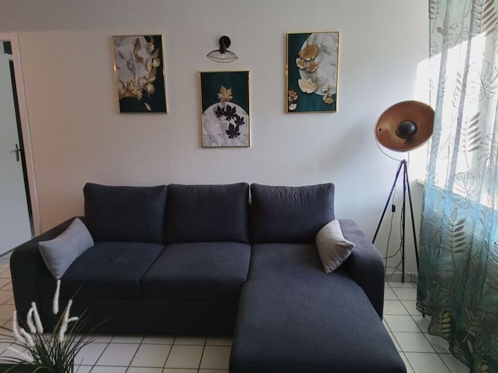 Appartement - Saint-Dié-des-Vosges