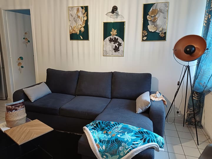 Appartement - Saint-Dié-des-Vosges