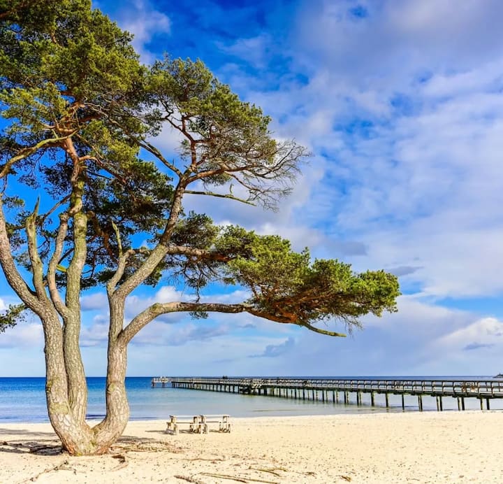 Spacious Apartment Close To Beach - Åhus