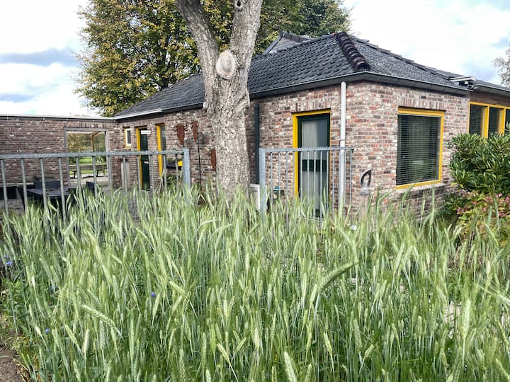 Een Vrijstaande Studio (24 M²) Voor 2 Personen - Weert