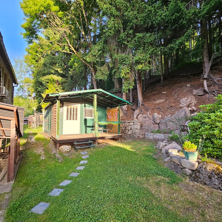 Grünhäuschen In Erlabrunn/erzgebirge, 620 M Asl - Schwarzenberg/Erzgebirge