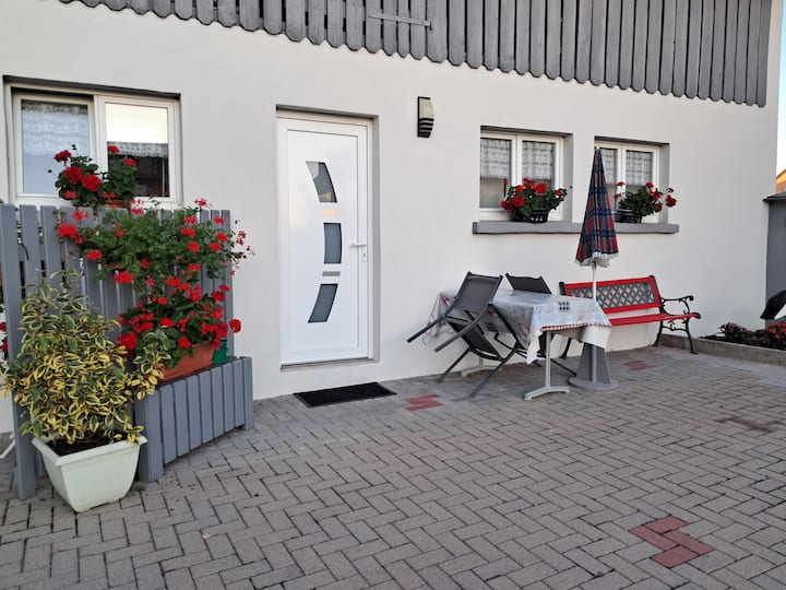 Gîte Cosy 40m² à La Campagne - Illhaeusern
