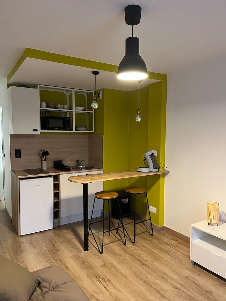 Studio 20m2 - ibis budget Nancy Porte Sud