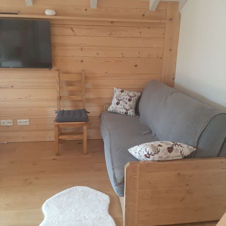 Superbe Appartement Central - Sixt-Fer-à-Cheval