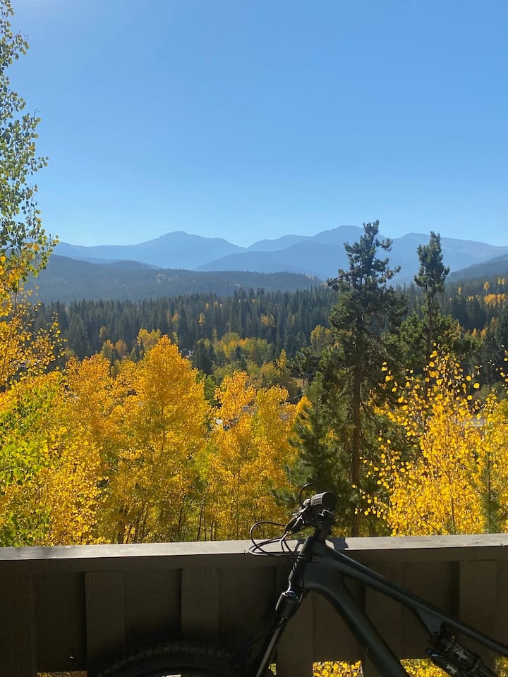 Winter Park 2bd/2ba•mountain Views•hot Tub•ski Bus - Winter Park, CO