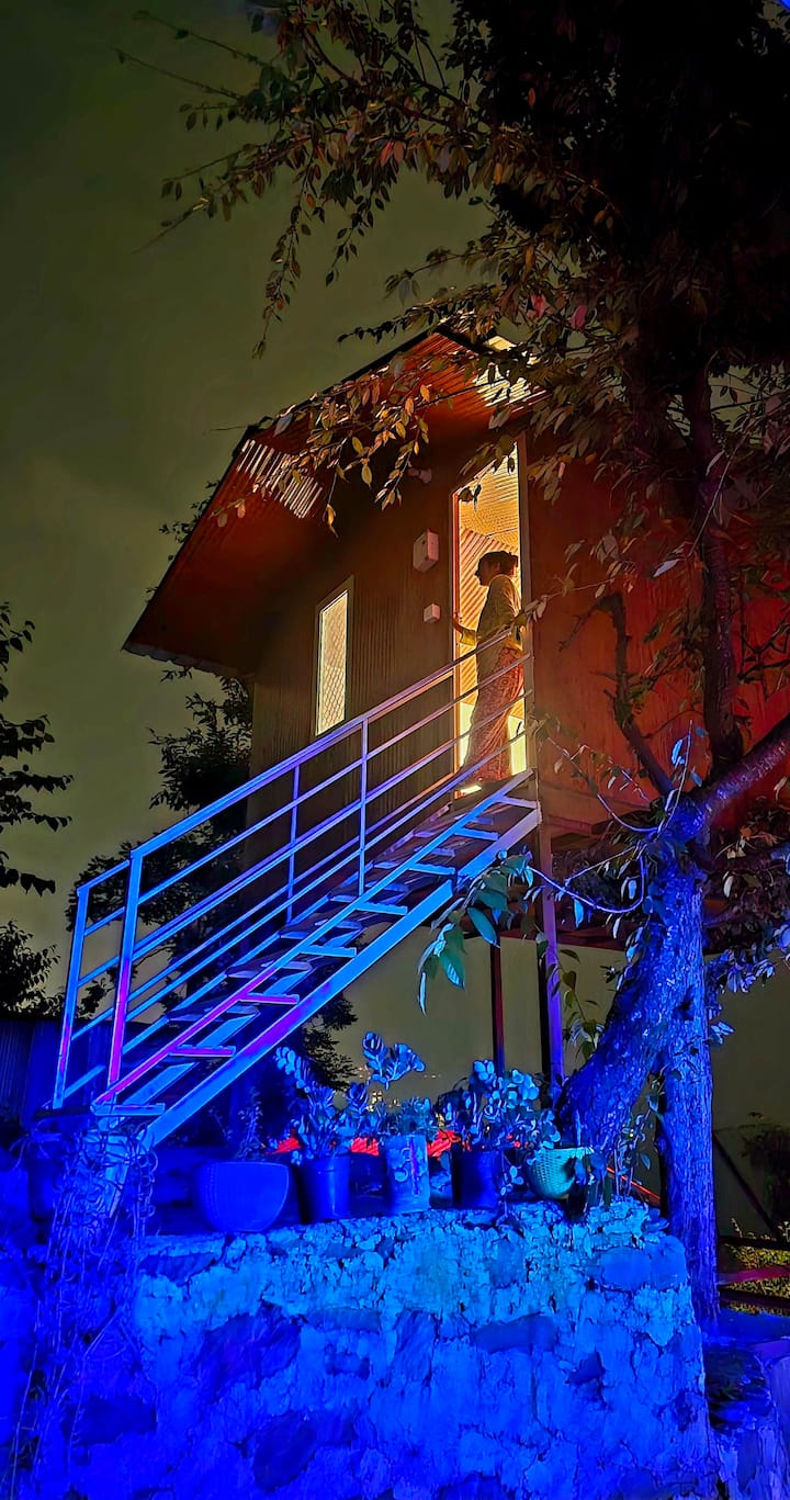 Treehouse By The City Escape - Shimla