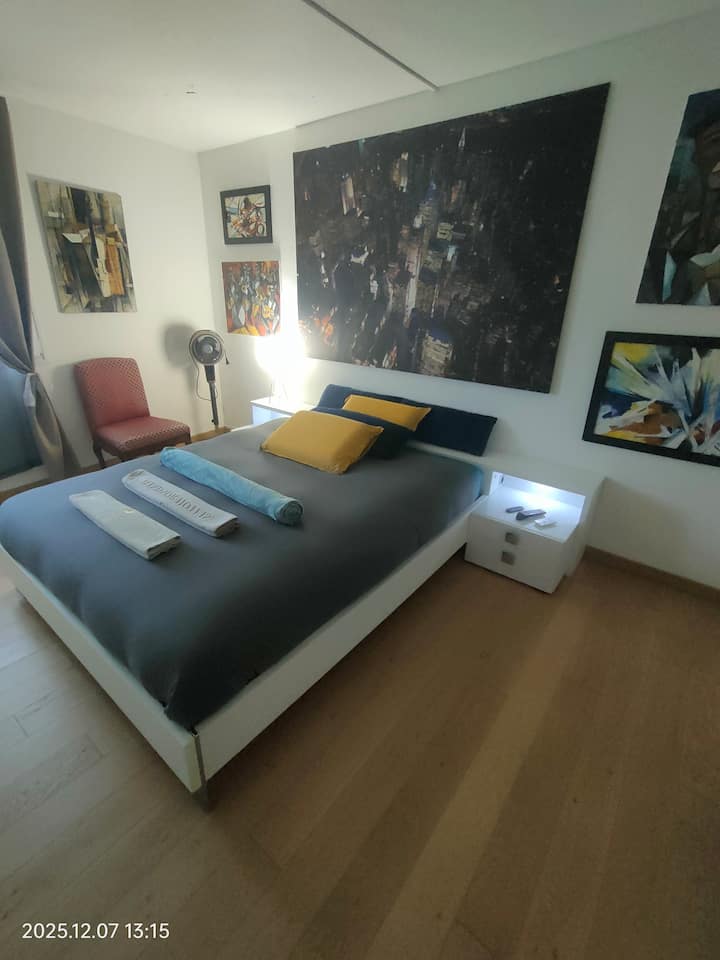 Appartement Hightech Luxueux Avec Vue Fantastique. - Colmar