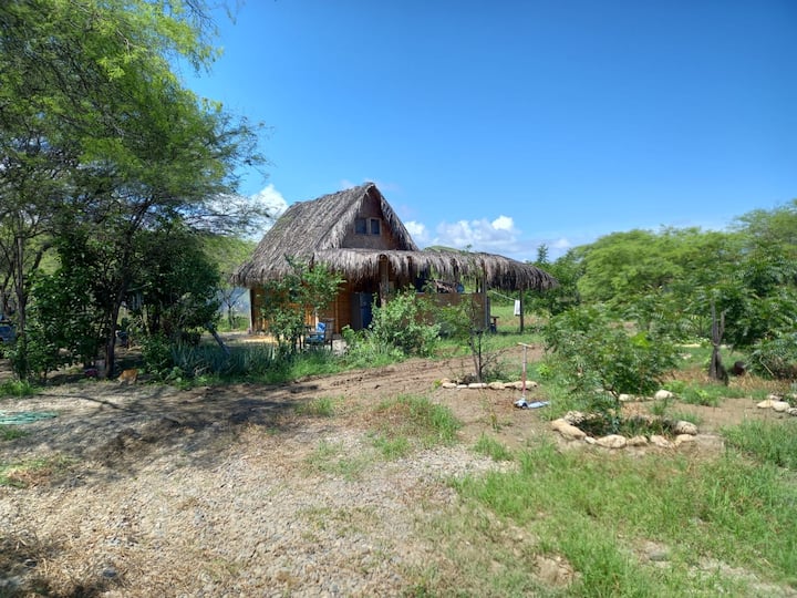 Wasi Center Holistic  Center - Máncora