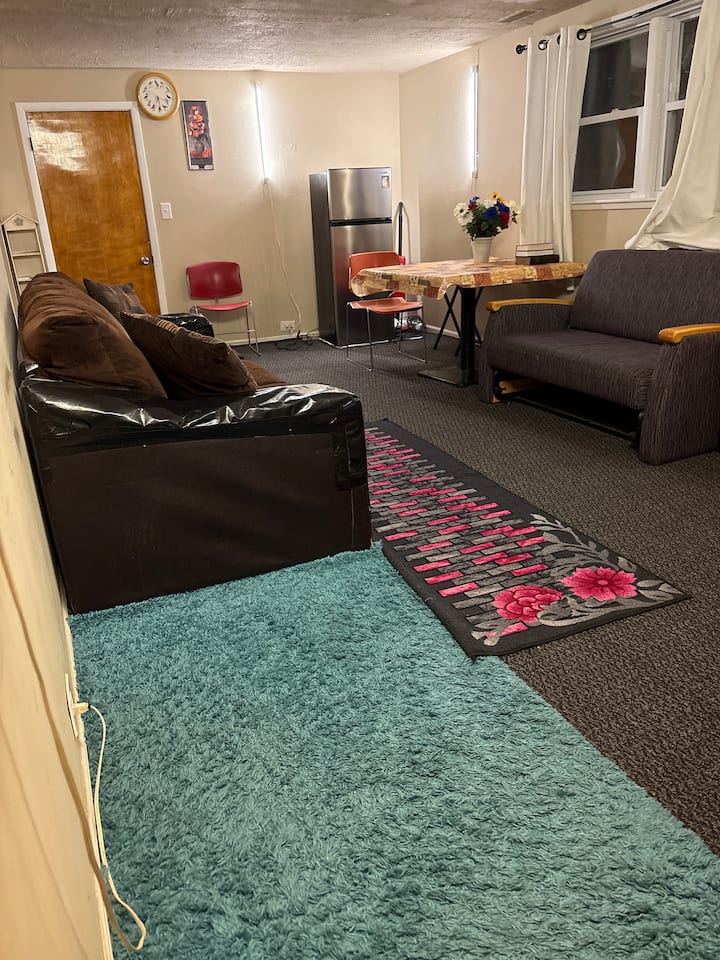 Independent 1st Floor Of House - Tinley Park, IL