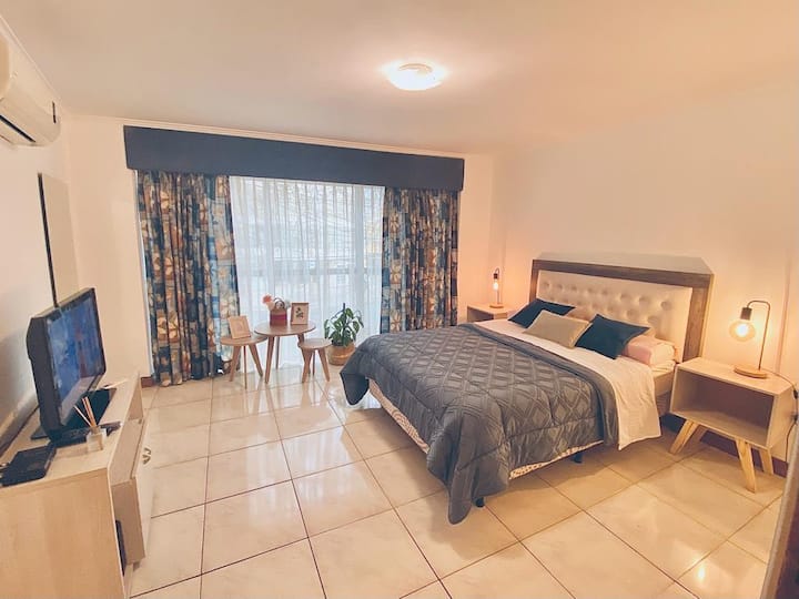 Mendoza Suites 3 (Parking Privado Disponible) - Mendoza