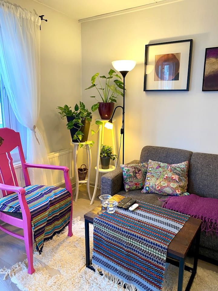 Apartment Very Close To The Central Station - Oslo